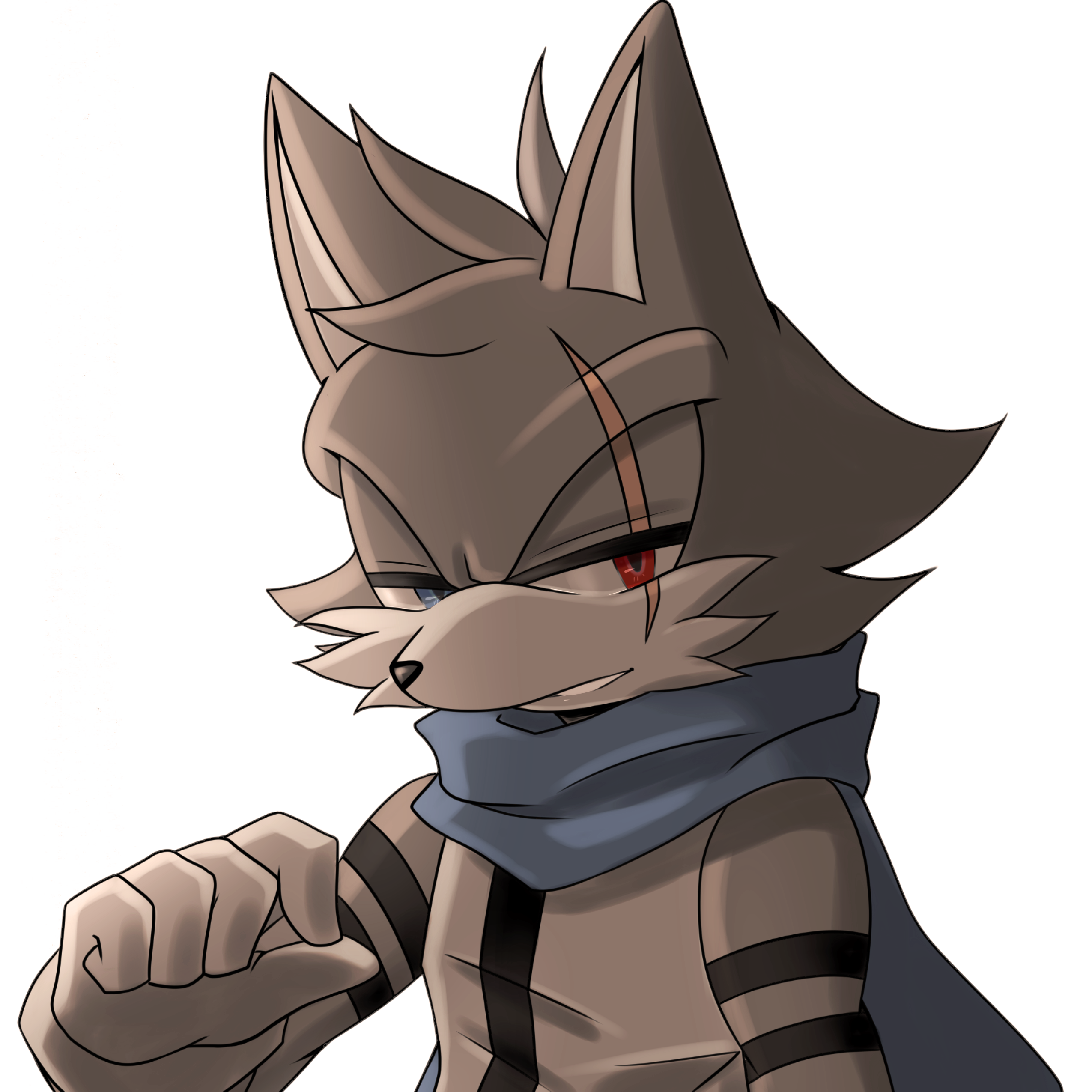 Sonic Fan Characters Wolf